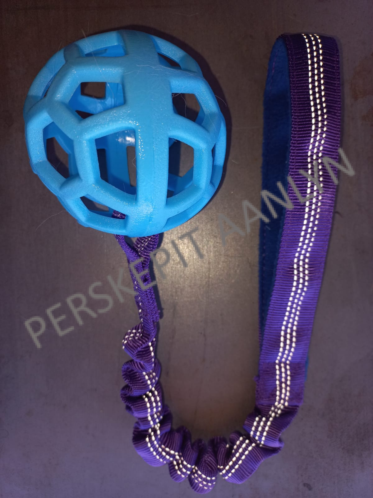 Purple/Blue | Roller Ball Dog Reward Toy | Bungee Handle – PERSKEPIT